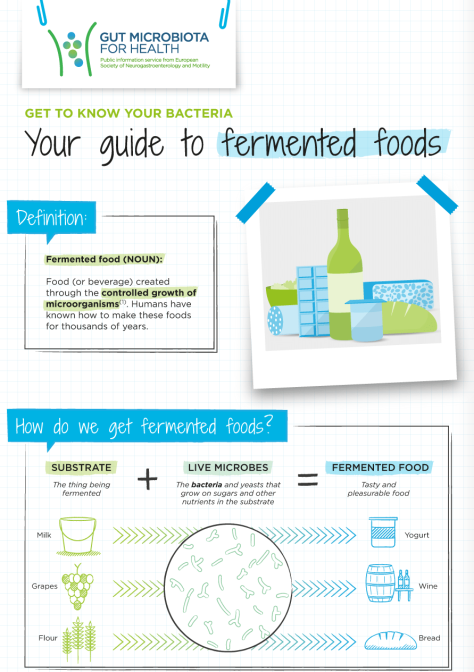 INFOGRAPHICS: “WHAT ARE, HOW WE GET AND WHY DO WE EAT FERMENTED FOODS ...