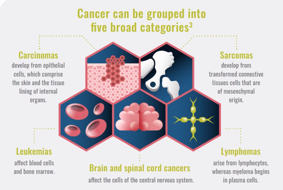 INFOGRAPHIC: A LOOK INTO “CANCER’S COMPLEXITY” | Doctors Without ...