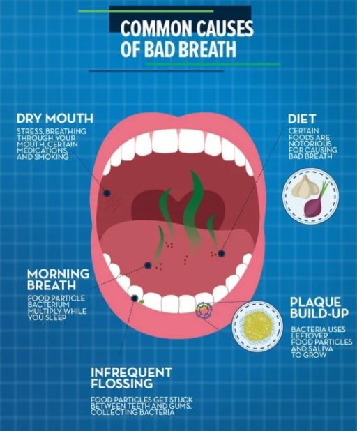 THE DOCTORS 101 CHRONIC SYMPTOMS & CONDITIONS #17: BAD BREATH ...