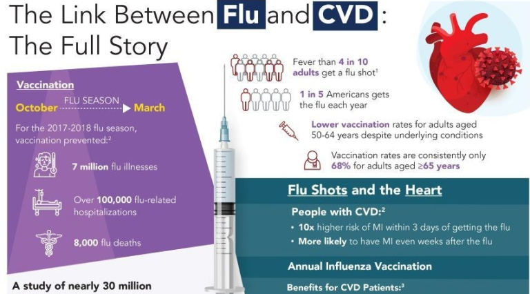 INFOGRAPHIC: ‘THE LINK BETWEEN FLU AND CVD’ | Doctors Without Waiting Rooms