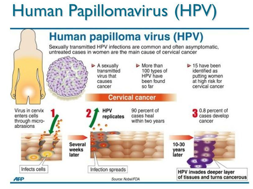 THE DOCTORS 101 CHRONIC SYMPTOMS & CONDITIONS #34: Human Papillomavirus ...