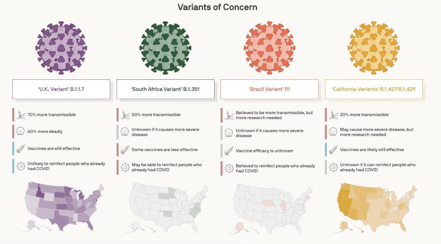 COVID-19 INFOGRAPHIC: ‘TRACKING THE VARIANTS’ | Doctors Without Waiting ...