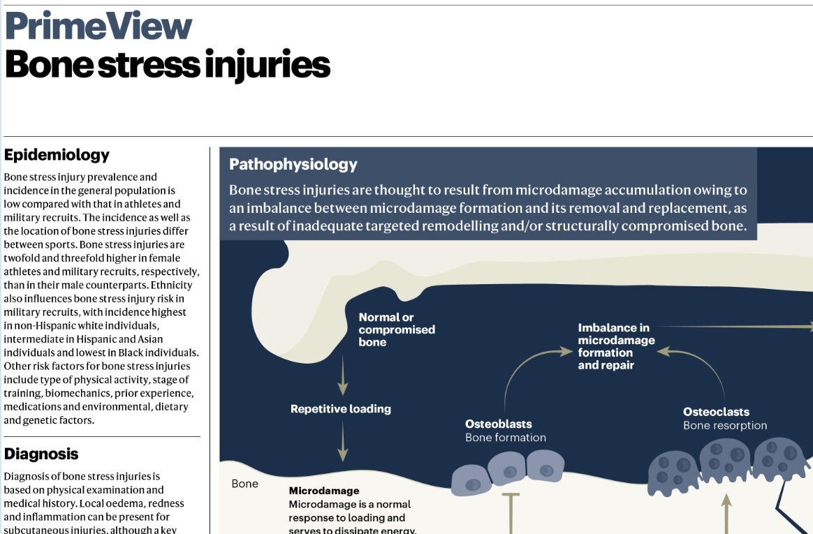 Infographic: What Are Bone Stress Injuries? | Doctors Without Waiting Rooms