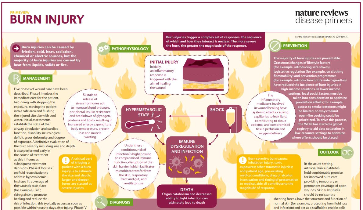 Infographic: How Bodies React To Burn Injuries | Doctors Without ...