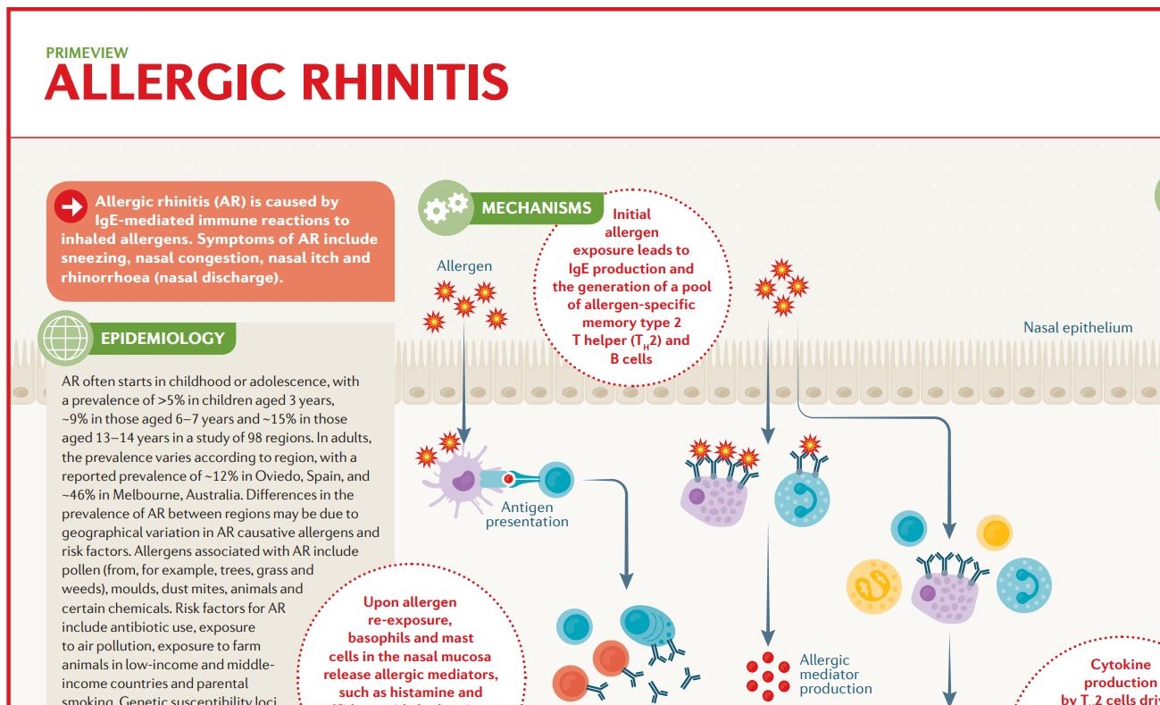 Chronic Conditions: Allergic Rhinitis (Nature) | Doctors Without ...