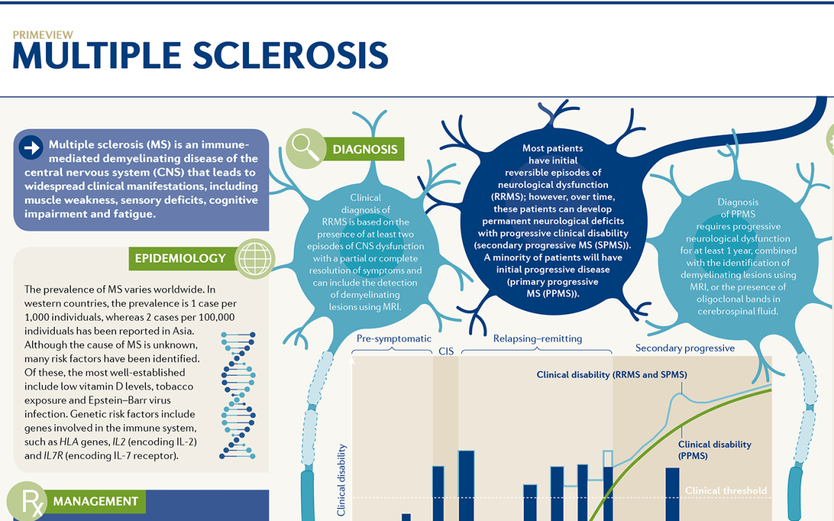 Disease Infographics: Multiple Sclerosis | Doctors Without Waiting Rooms