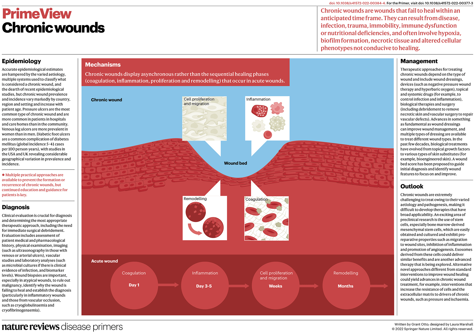 Infographics: Chronic Wounds In Older Adults | Doctors Without Waiting ...