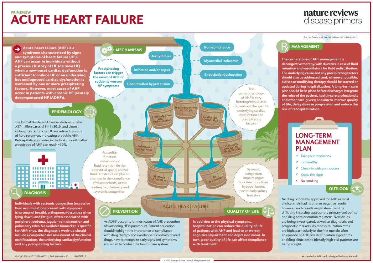 Infographic: Acute Heart Failure (Nature Reviews) | Doctors Without ...