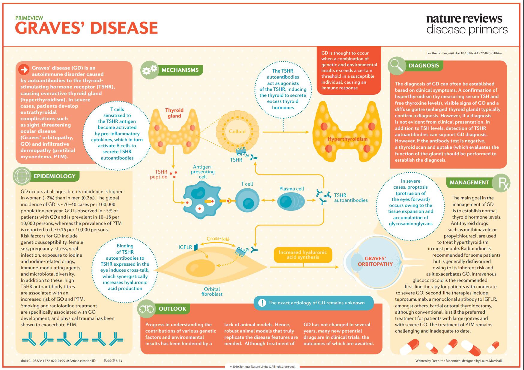 Medicine: Graves’ Disease Autoimmune Disorder | Doctors Without Waiting ...