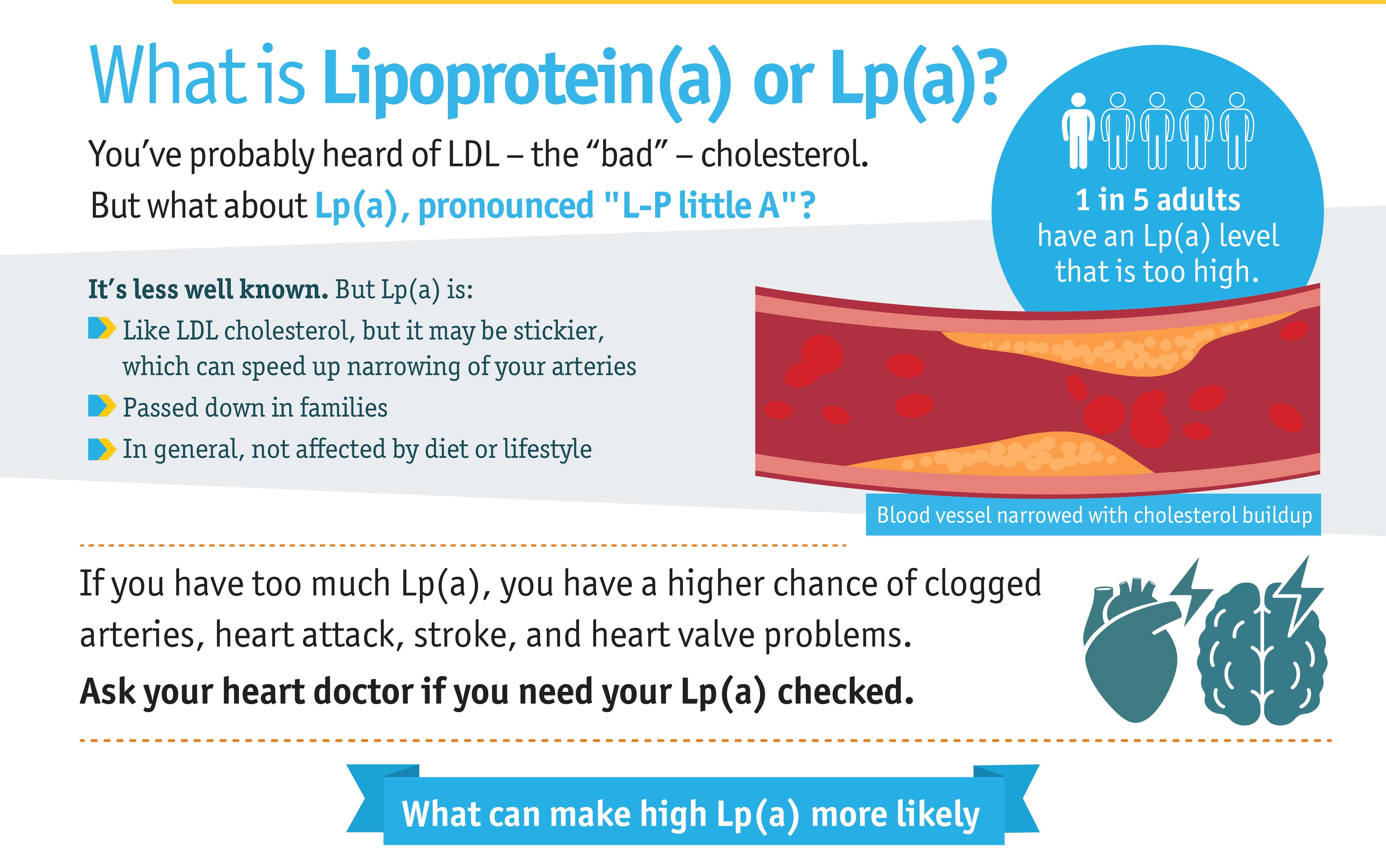 Infographics: What Is Lipoprotein(a) Or Lp(a) | Doctors Without Waiting ...
