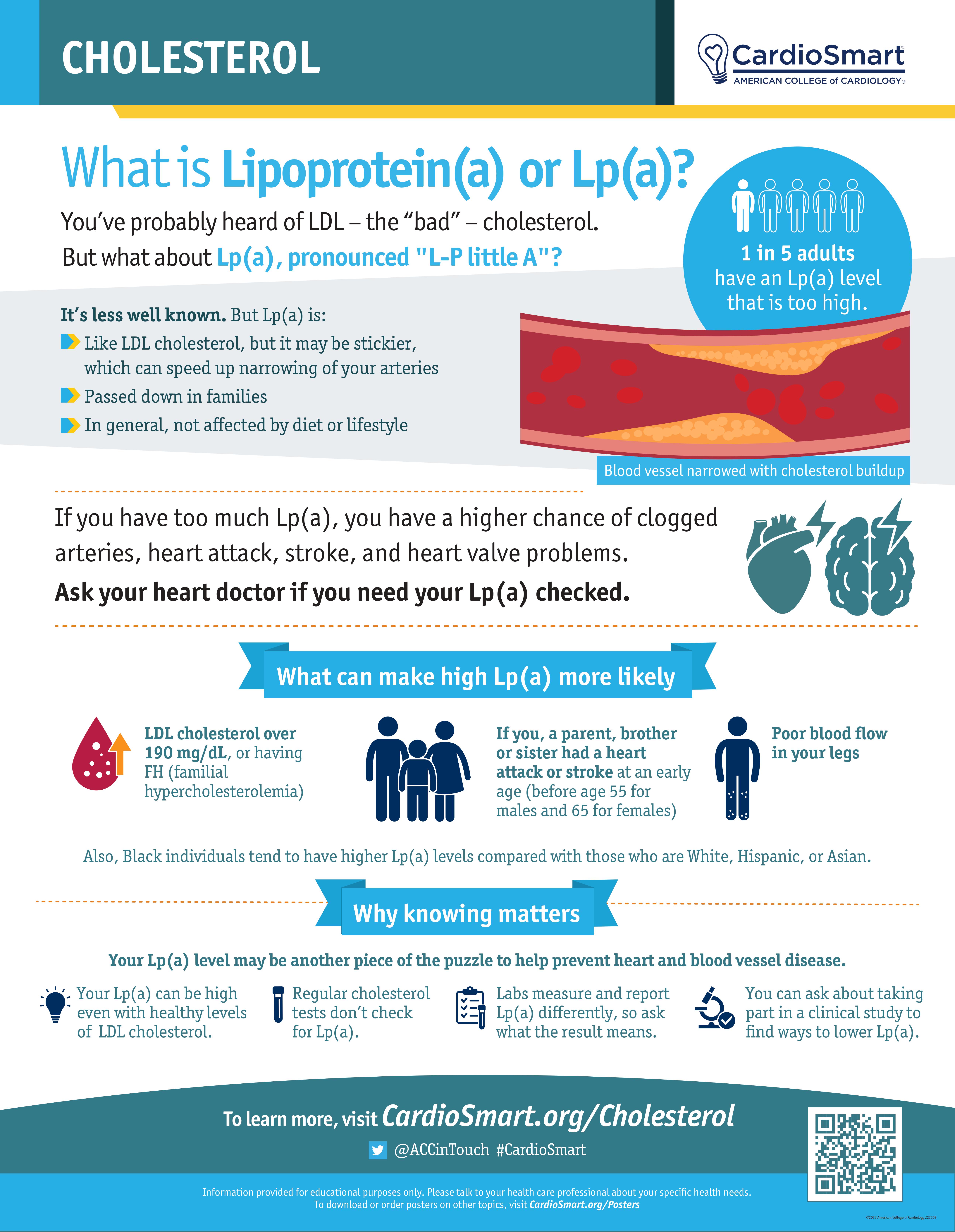 Infographics: What Is Lipoprotein(a) Or Lp(a) | Doctors Without Waiting ...