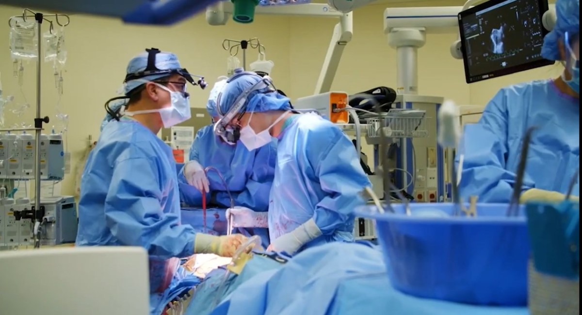 Cardiology: Inside Look At Heart Transplant Surgery | Doctors Without ...