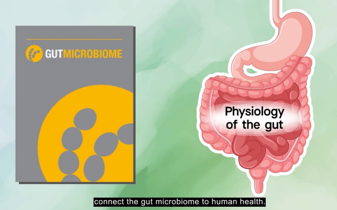 Microbiome: Physiology Of The Gut (Cambridge) | Doctors Without Waiting ...