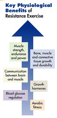 Reviews: The Importance Of Regular Exercise | Doctors Without Waiting Rooms