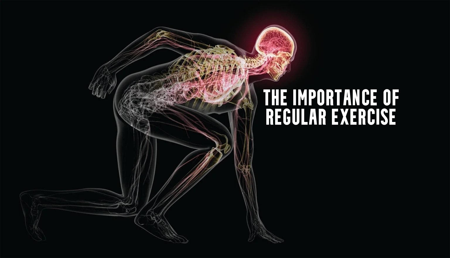 Reviews: The Importance Of Regular Exercise | Doctors Without Waiting Rooms