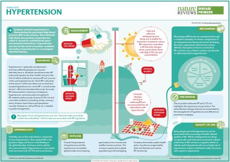 Infographic: Systemic Arterial Hypertension | Doctors Without Waiting Rooms
