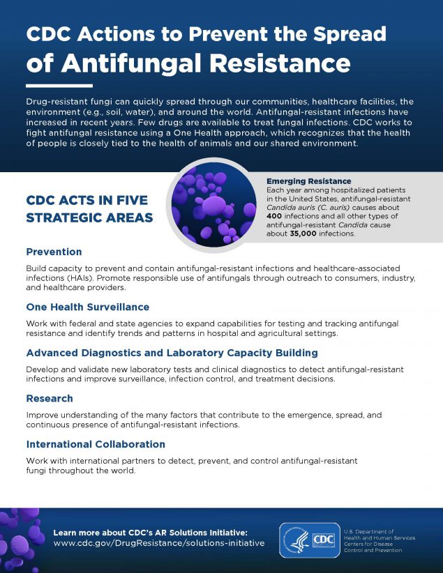 Fungal Infections: The Spread Of Candida Auris | Doctors Without ...